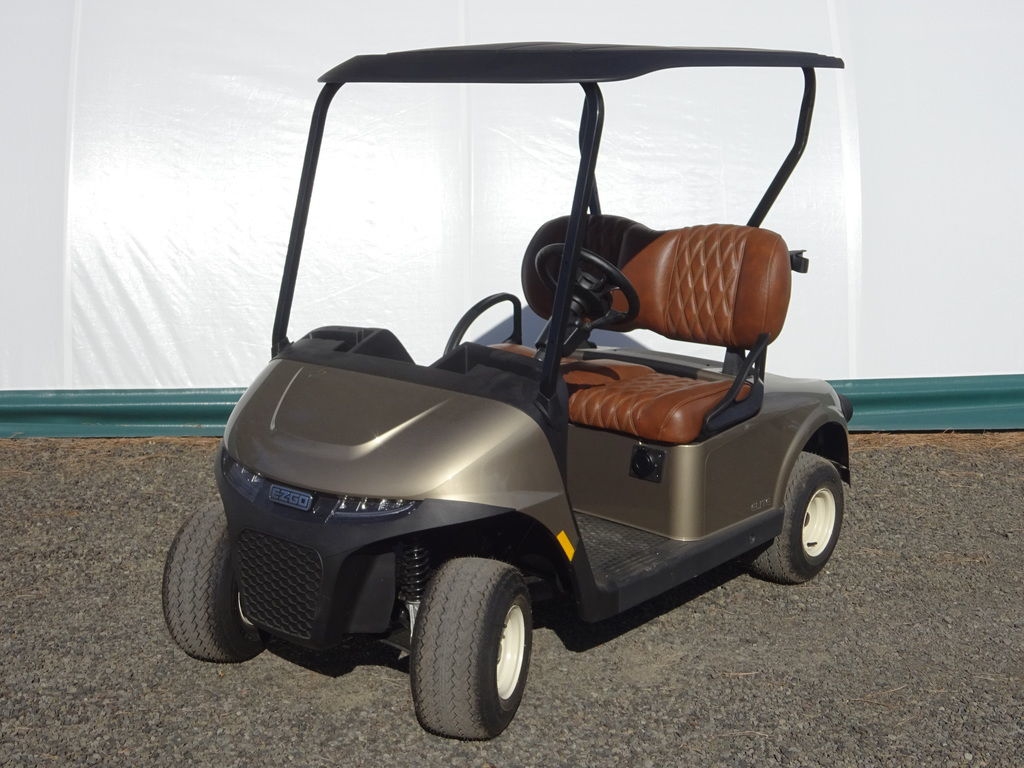 2025 E-Z-GO Freedom RXV ELiTE Lithium Almond | CartFinder