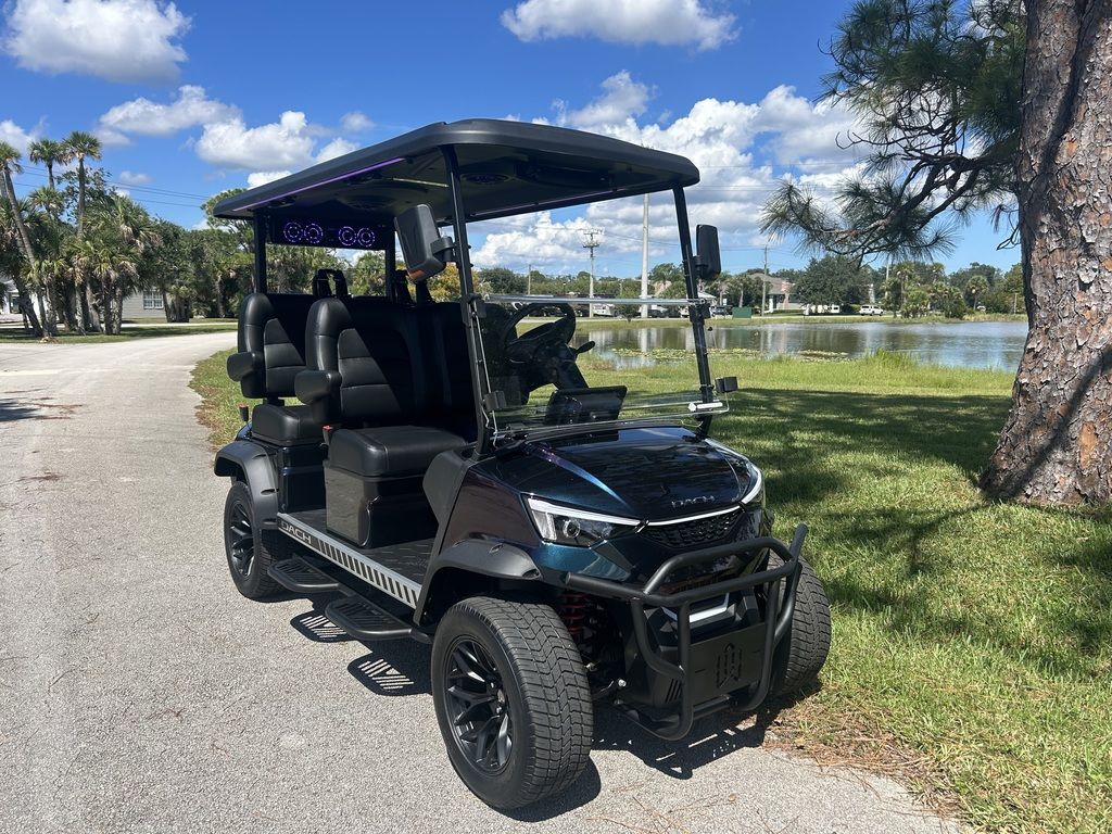 2025 Dach Vehicles Falcon 2+2 | CartFinder