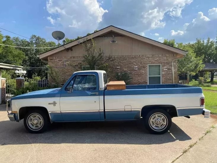 1981 Chevrolet C/K 10 Series C10 Silverado Pickup 1GCCC14G0BS173235 ...