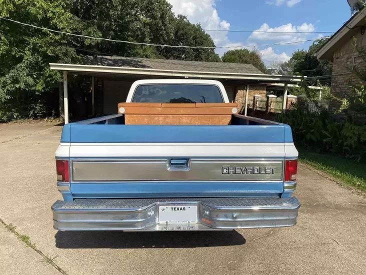 1981 Chevrolet C/K 10 Series C10 Silverado Pickup 1GCCC14G0BS173235 ...