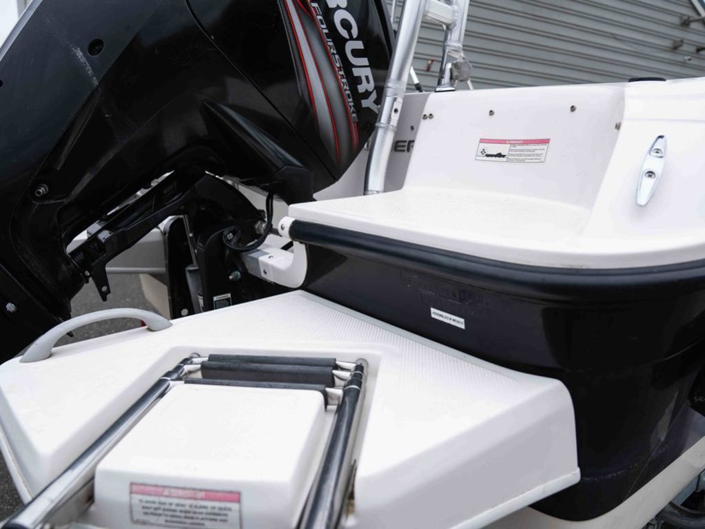 2016 Bayliner ELEMENT E16 for Sale in Bellingham, WA, United States ...