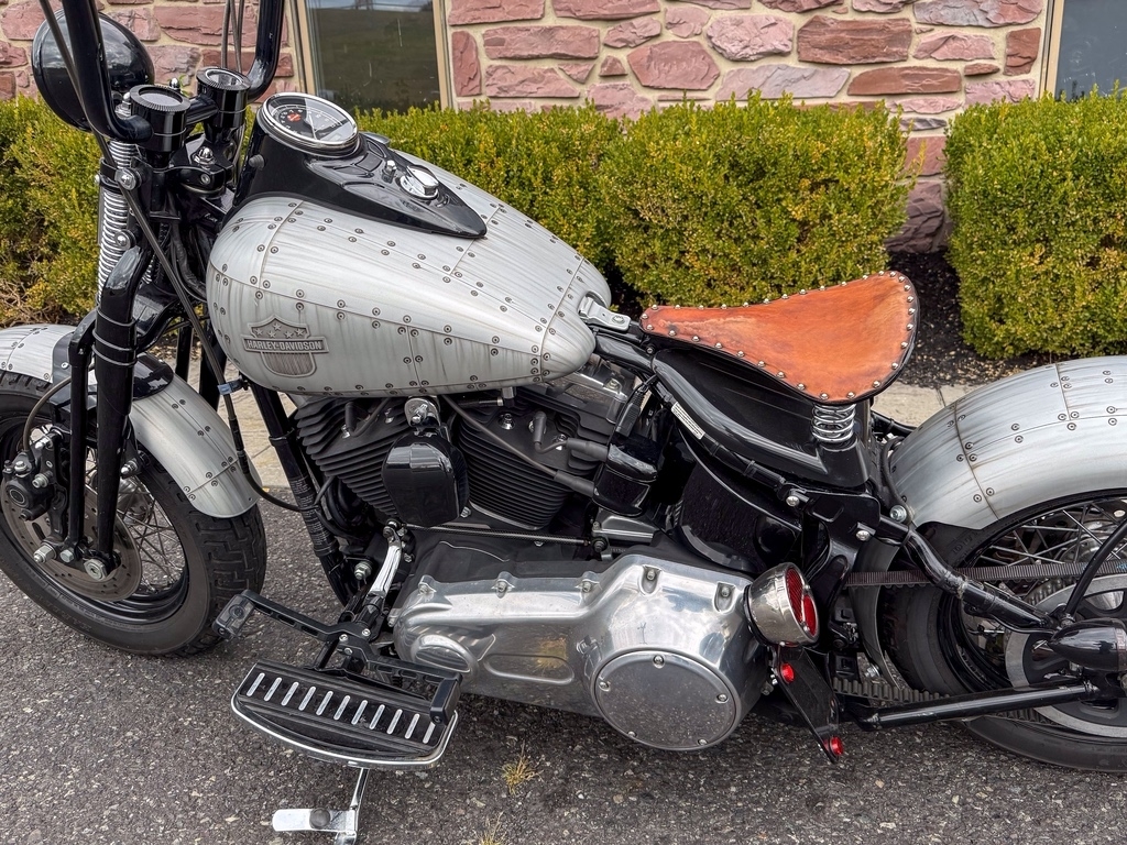 2010 Harley-Davidson Softail Cross Bones FLSTSB Springer Bobber Custom ...