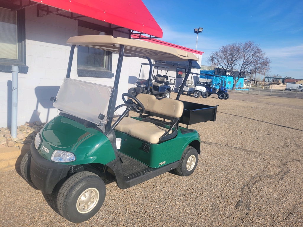 2019 E-Z-GO Freedom RXV | CartFinder