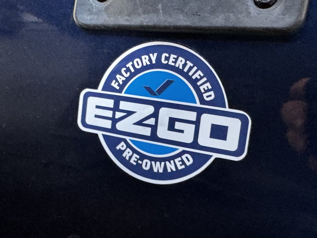 2020 E-Z-GO Freedom RXV | CartFinder