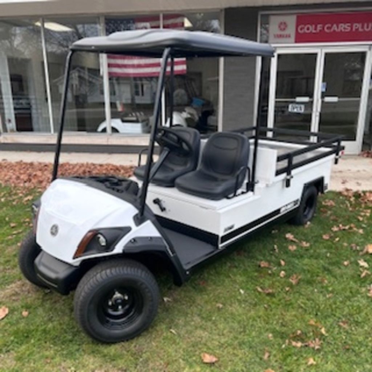 Golf Carts For Sale In Michigan | Cart Finder