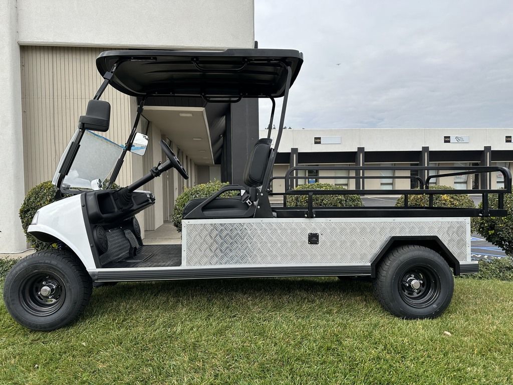 2025 Evolution Turfman 1000 | CartFinder