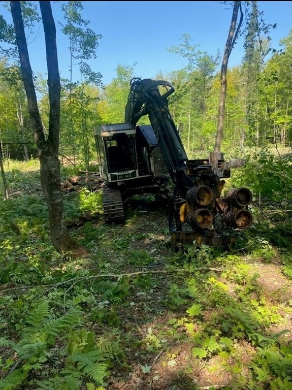 1997 Timbco 415 Feller Buncher - Pro Market Connections - Omaha ...
